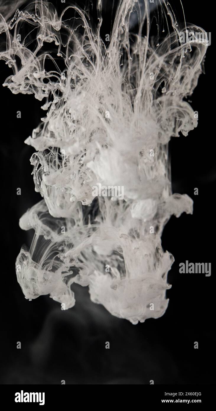 Colorful rainbow paint drops from above mixing in water. Ink swirling ...