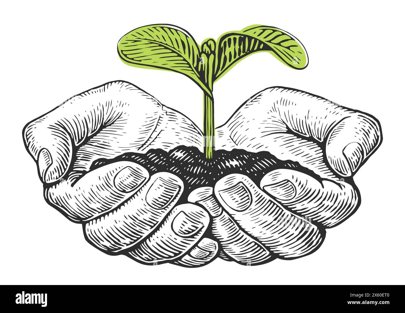 Human hands holding young plant. Hand open palm holds small green tree. Sketch vector Stock ...