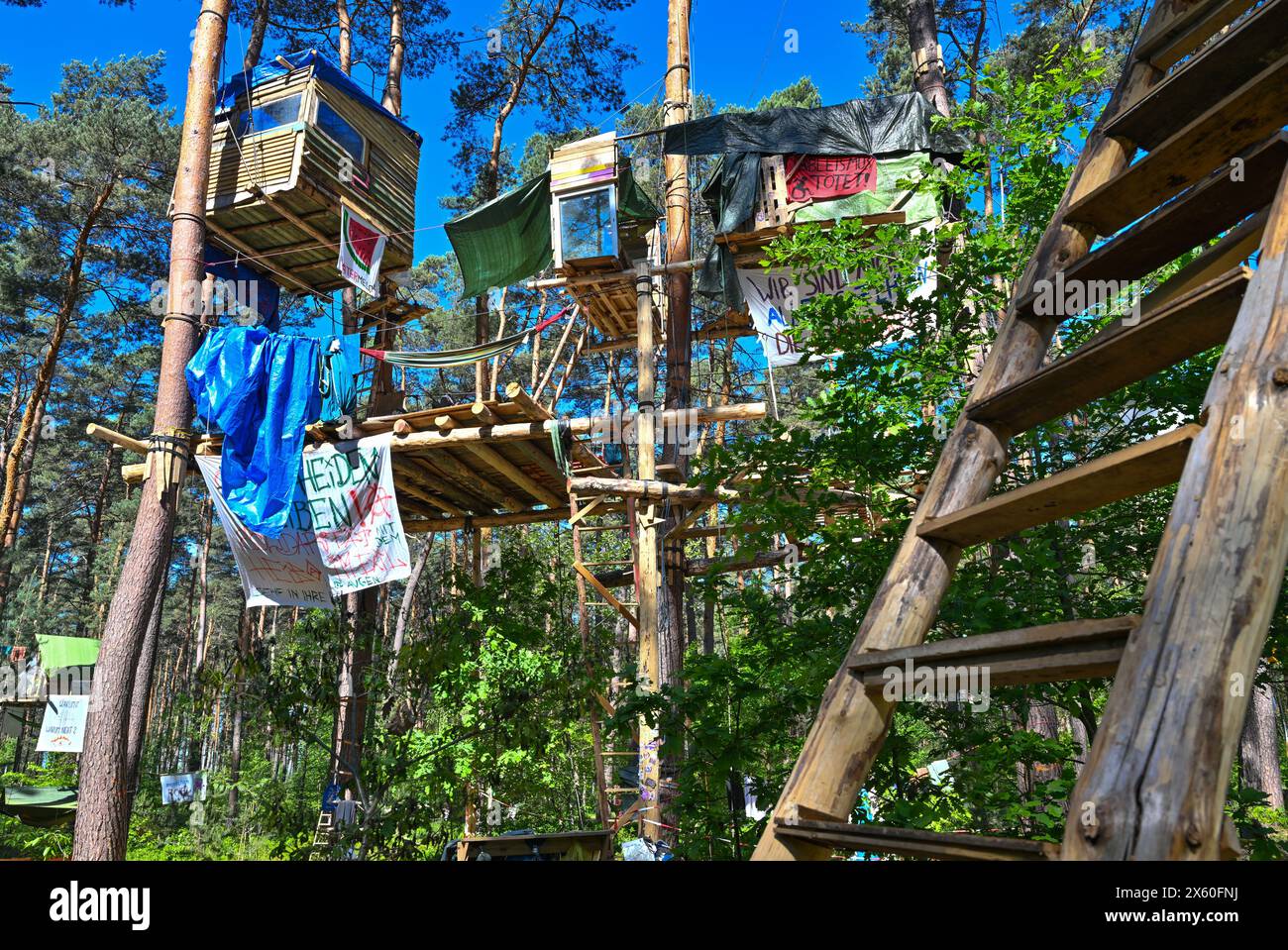 12 May 2024, Brandenburg, Grünheide: Activists from the "Stop Tesla ...