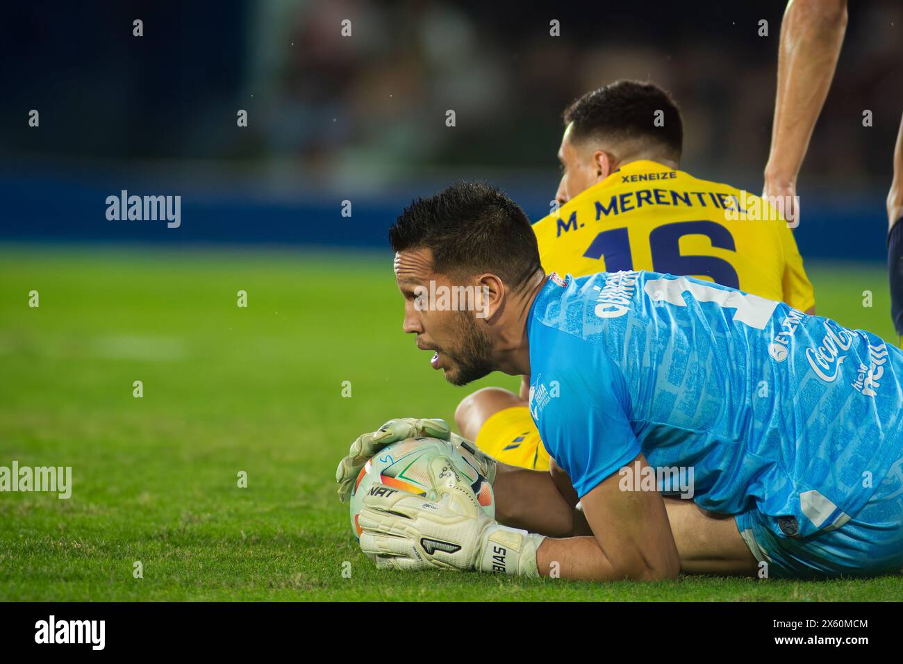 Boca de wilson hi-res stock photography and images - Alamy