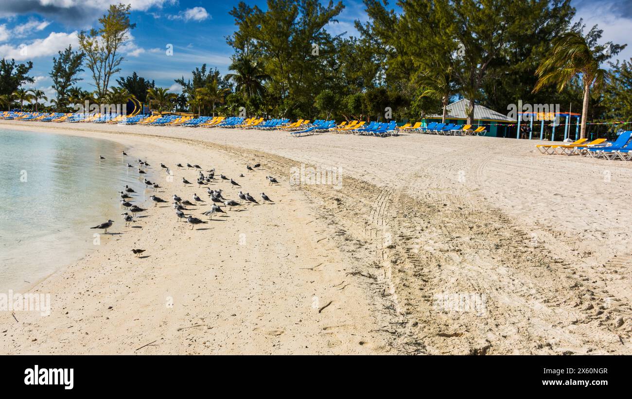 Bahamas Coco Cay Caribbean Island - Luxury beach oasis Stock Photo - Alamy