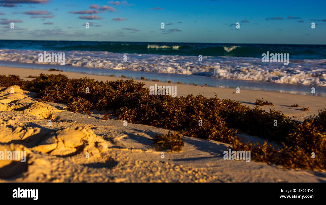 Horseshoe Bay Beach and Deep Bay Beach in Hamilton, Bermuda Stock Photo ...