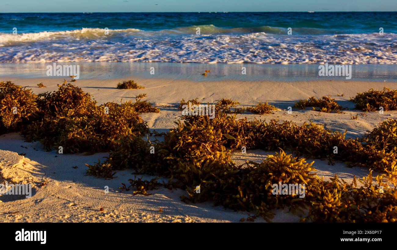 Horseshoe Bay Beach and Deep Bay Beach in Hamilton, Bermuda Stock Photo ...