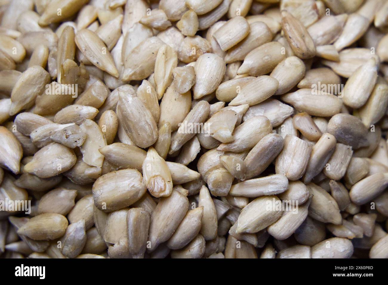 Unprocessed sunflower seeds close up hi-res stock photography and images - Alamy