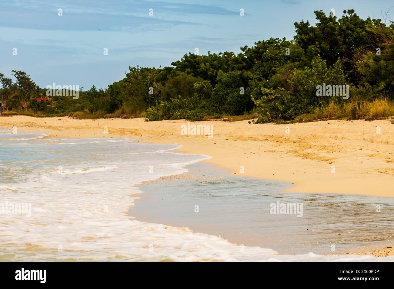 Caribbean beach with white sand, deep blue sky and turquoise water ...