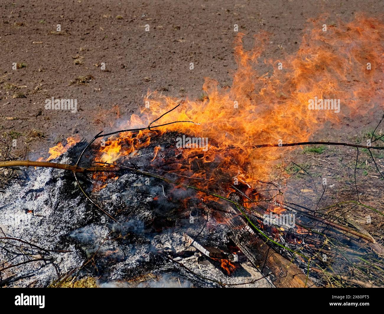 The aftermath of a bonfire with lingering flames Stock Photo - Alamy