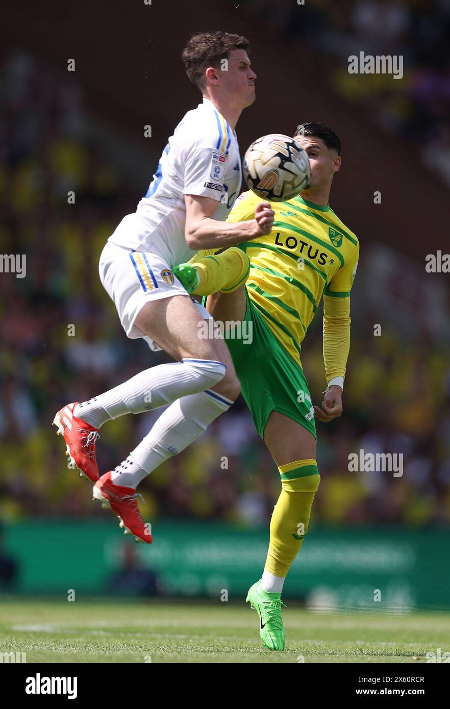 Norwich borja sainz hi-res stock photography and images - Alamy