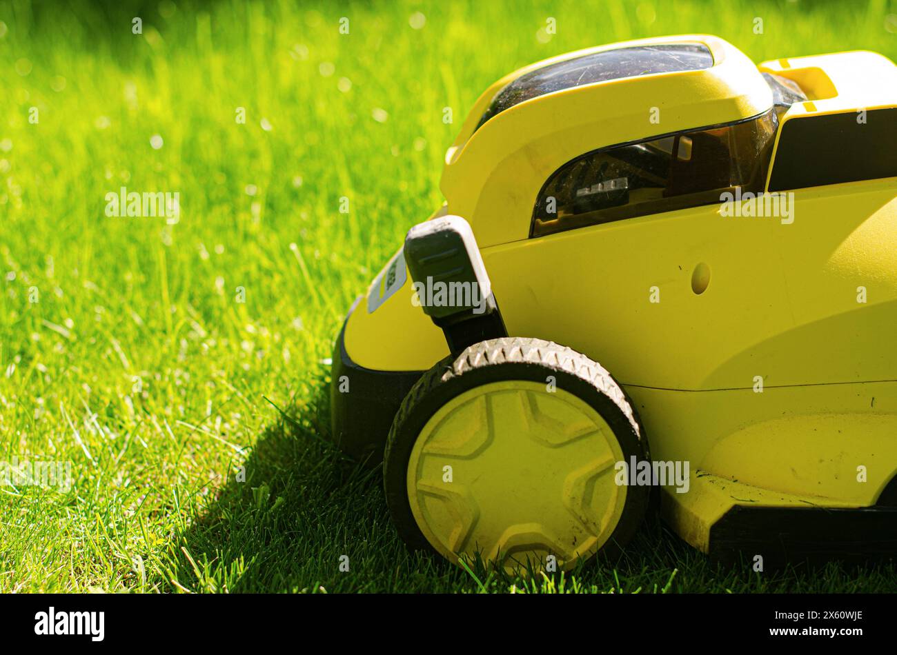 Lawn mower cut grass. Garden work. Electric Rotary lawn mower machine ...