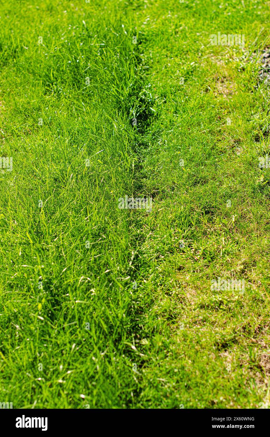 Agricultural grass cutter hi-res stock photography and images - Alamy