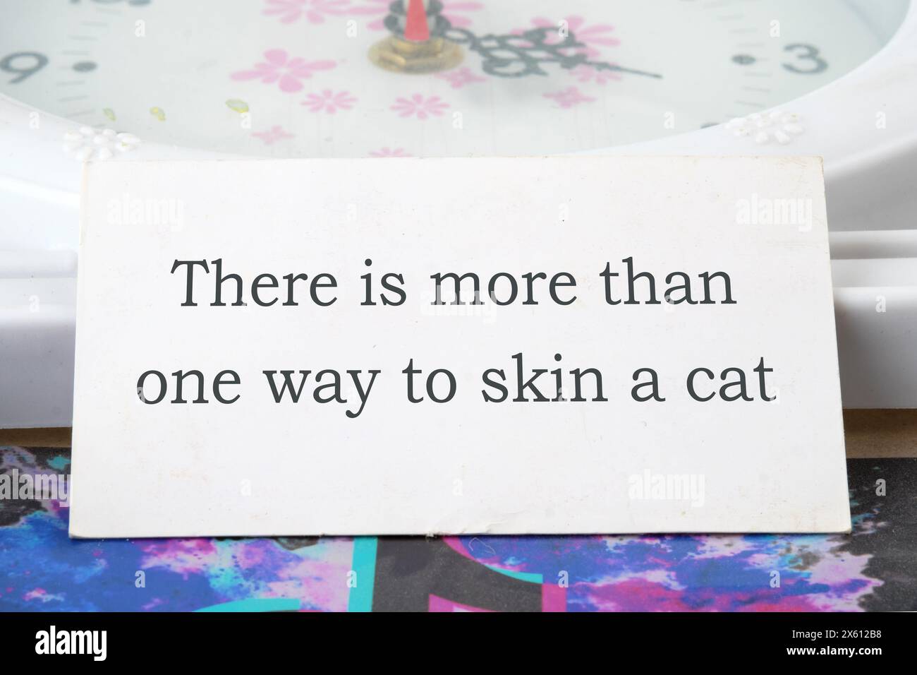 There is more than one way to skin a cat text text on a white card ...