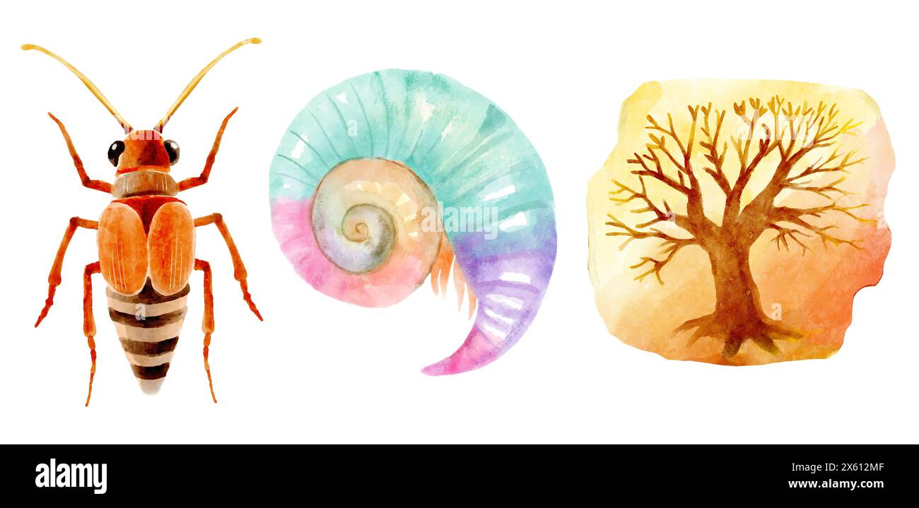 Prehistoric insect and shellfish and painting of tree on cave wall in ...