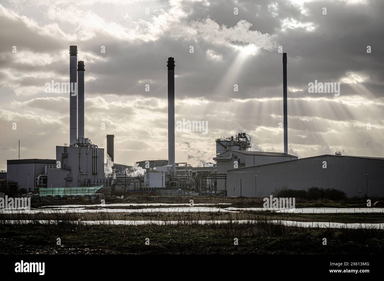 Kemsley paper mill, Sittingbourne, Kent. Kemsley is the largest mill ...