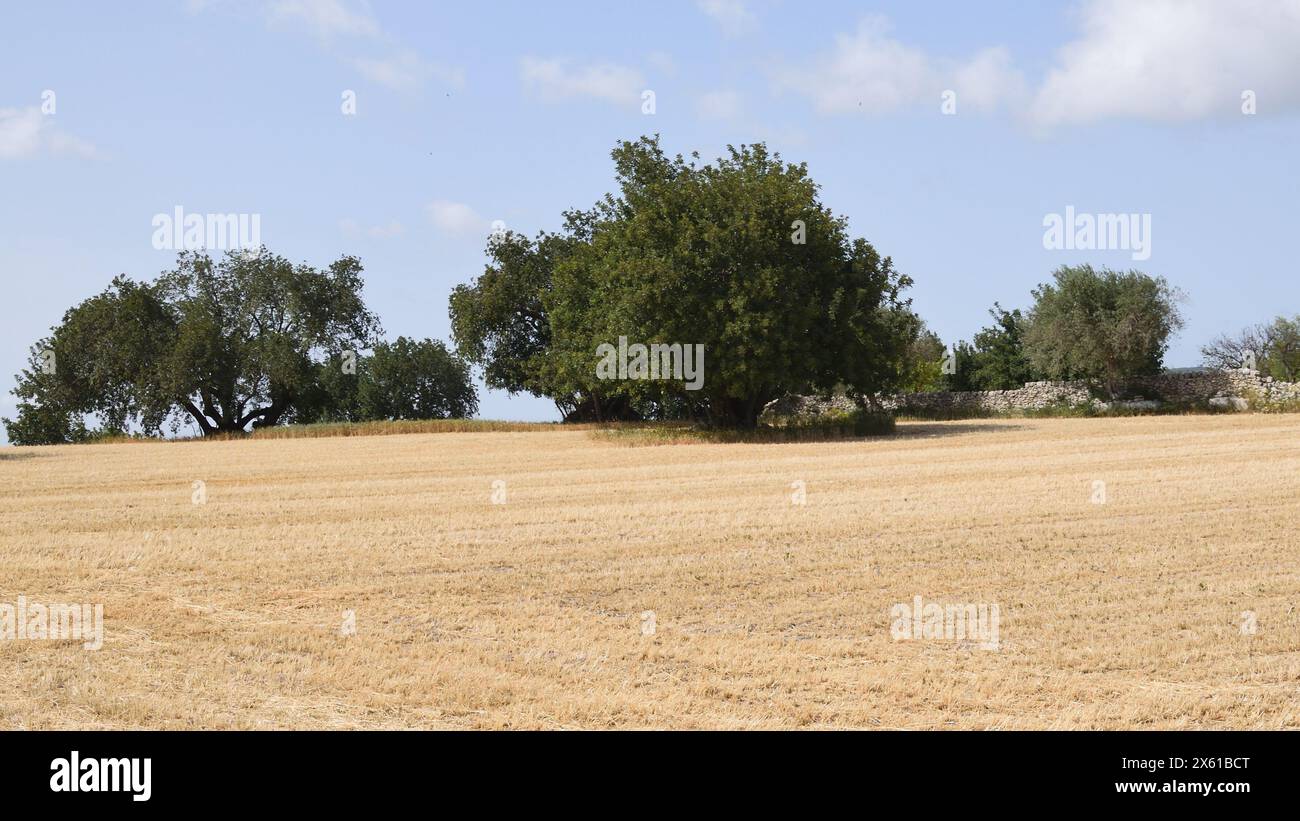 Iblei monti hi-res stock photography and images - Alamy