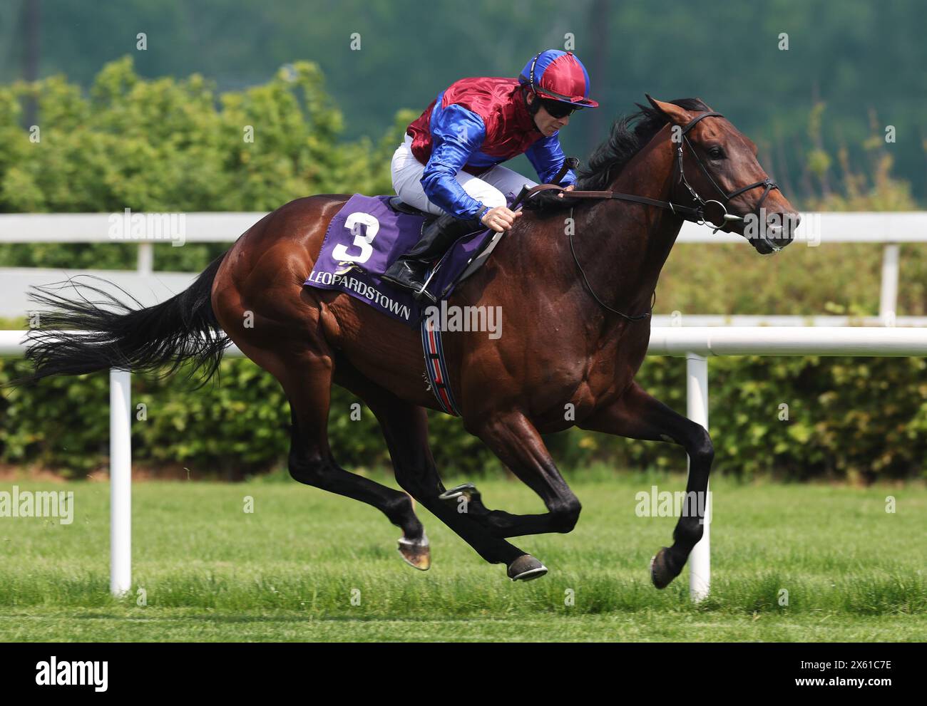 Highbury ridden by jockey Wayne Lordan on their way to winning the ...