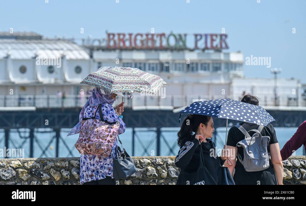 Brighton UK 12th May 2024 - These visitors try to stay cool under ...
