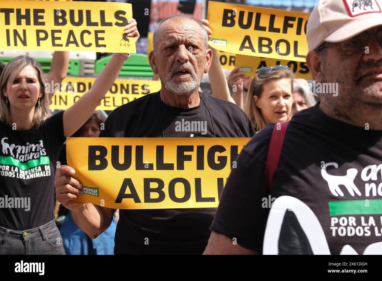Madrid, Spain. 12th May, 2024. demonstration against bullfighting and ...