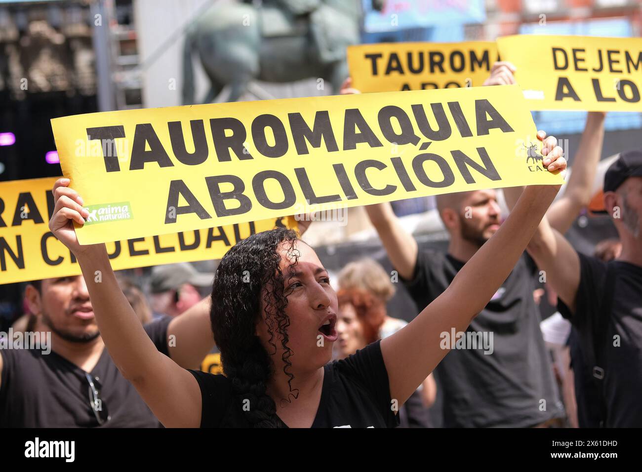 Madrid, Spain. 12th May, 2024. demonstration against bullfighting and ...