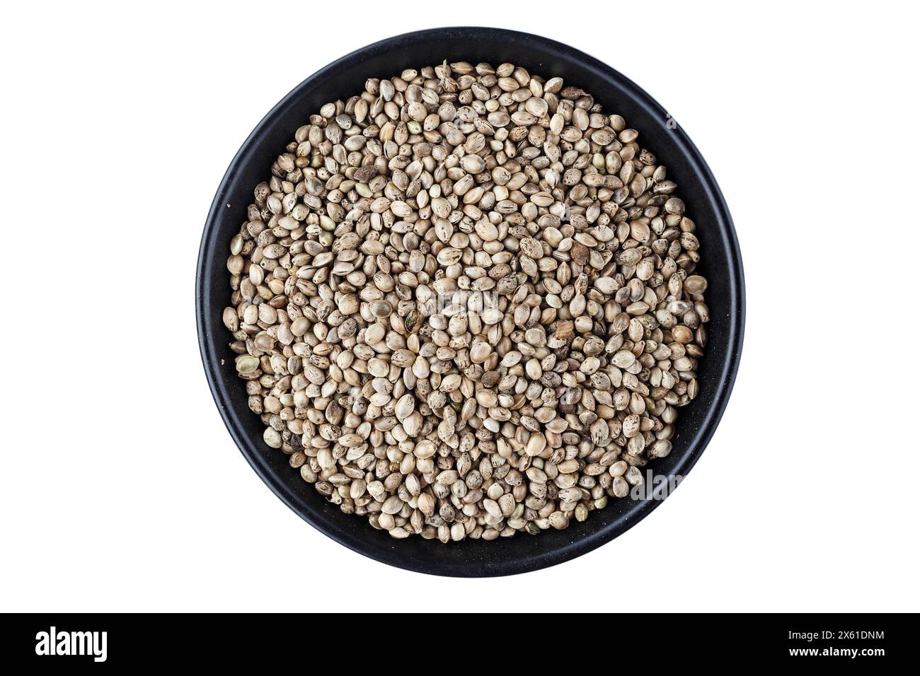 cannabis seeds in a plate isolated on white background, place for text ...