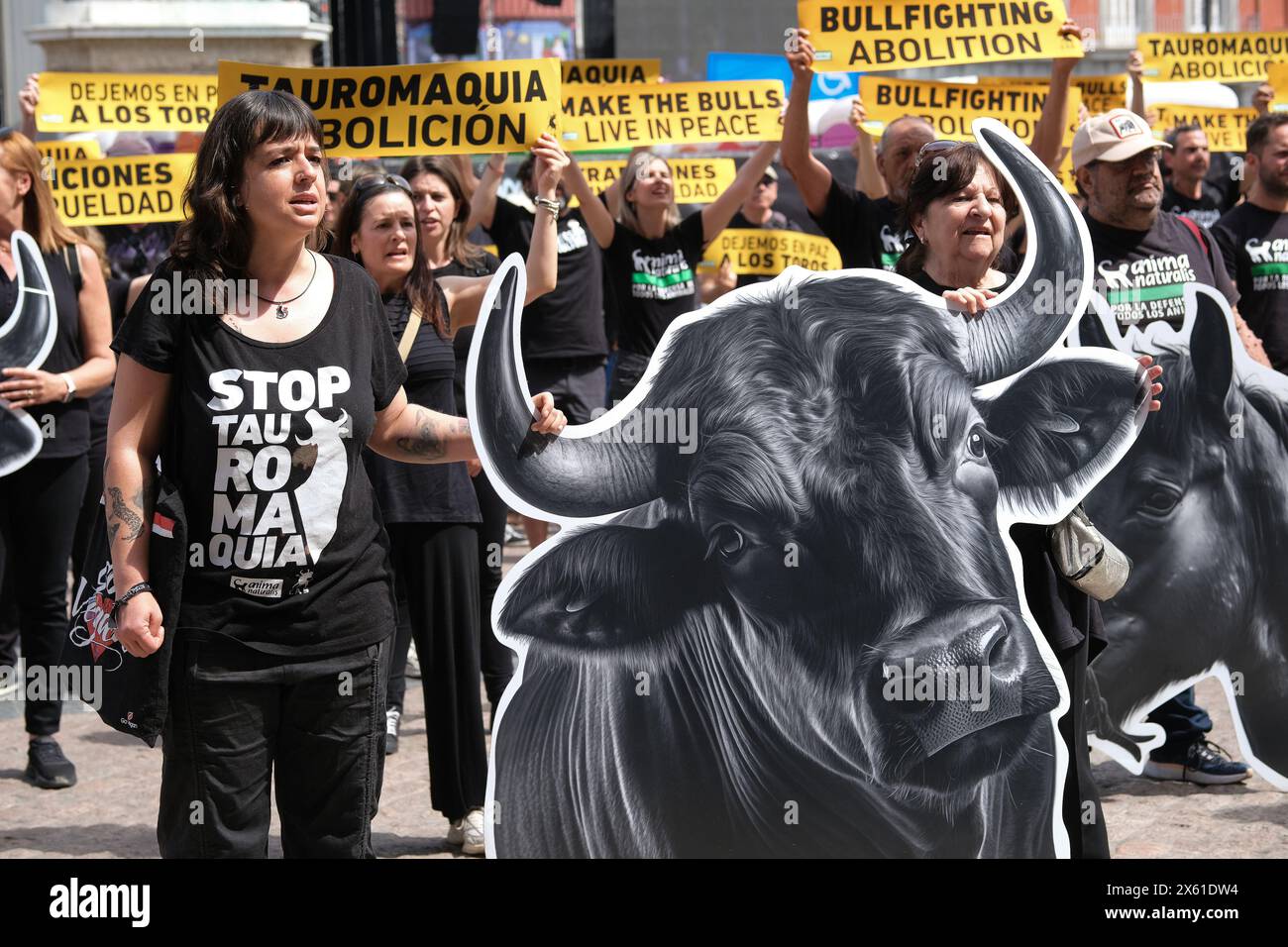 Madrid, Spain. 12th May, 2024. demonstration against bullfighting and ...