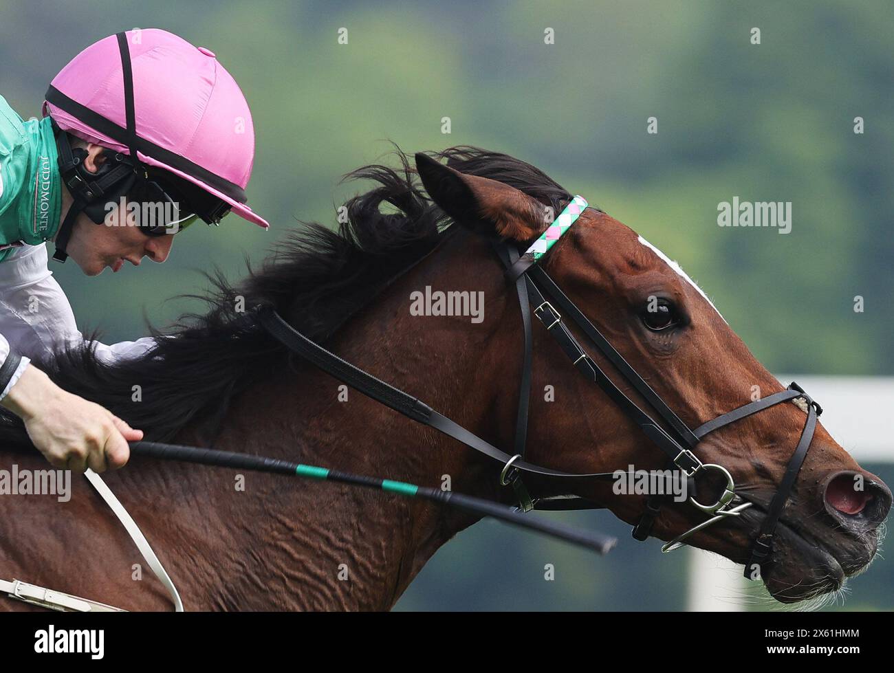 Wendla ridden by jockey Colin Keane on their way to winning the Al ...