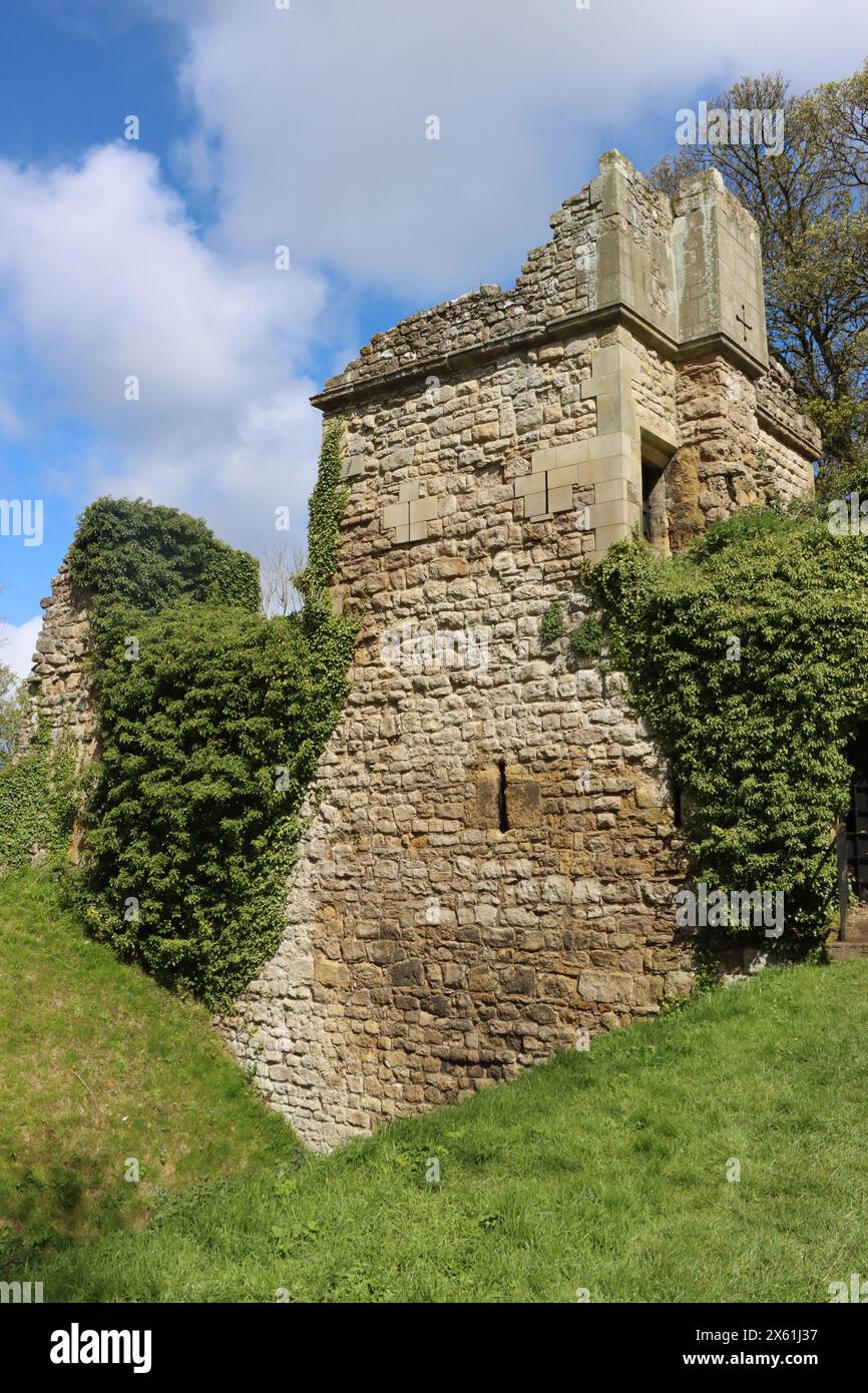 Pickering Castle, North Yorkshire, UK Stock Photo - Alamy