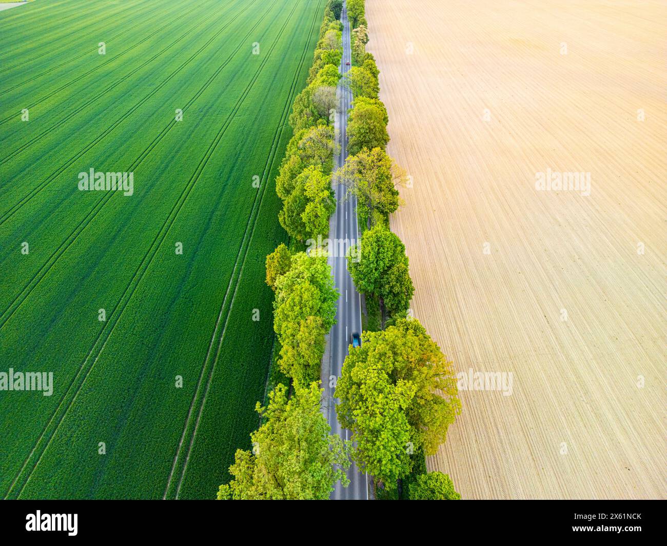 Aerial footage captures lush fields hi-res stock photography and images ...