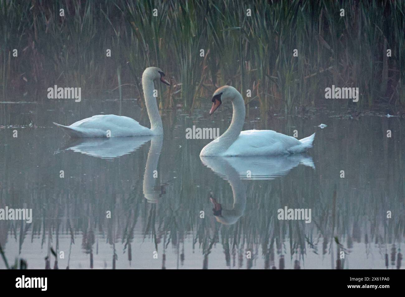 Tophill low nature reserve hi-res stock photography and images - Alamy
