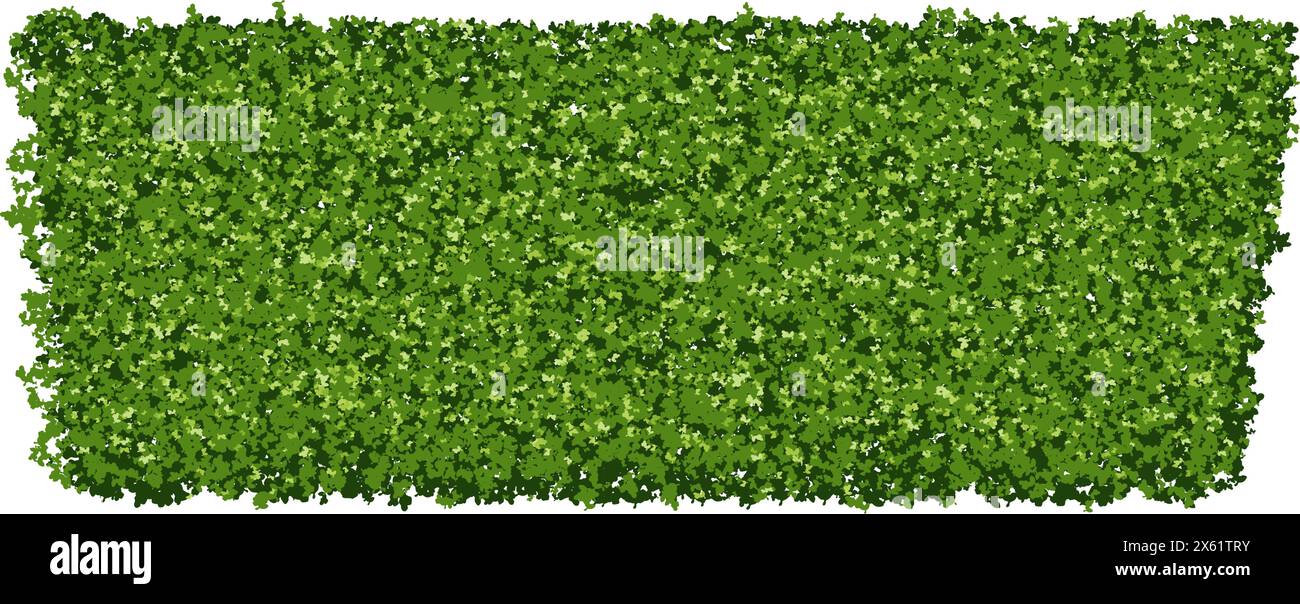 Green shrub or topiary in the shape of a trapezoid. Plant fence, hedge ...