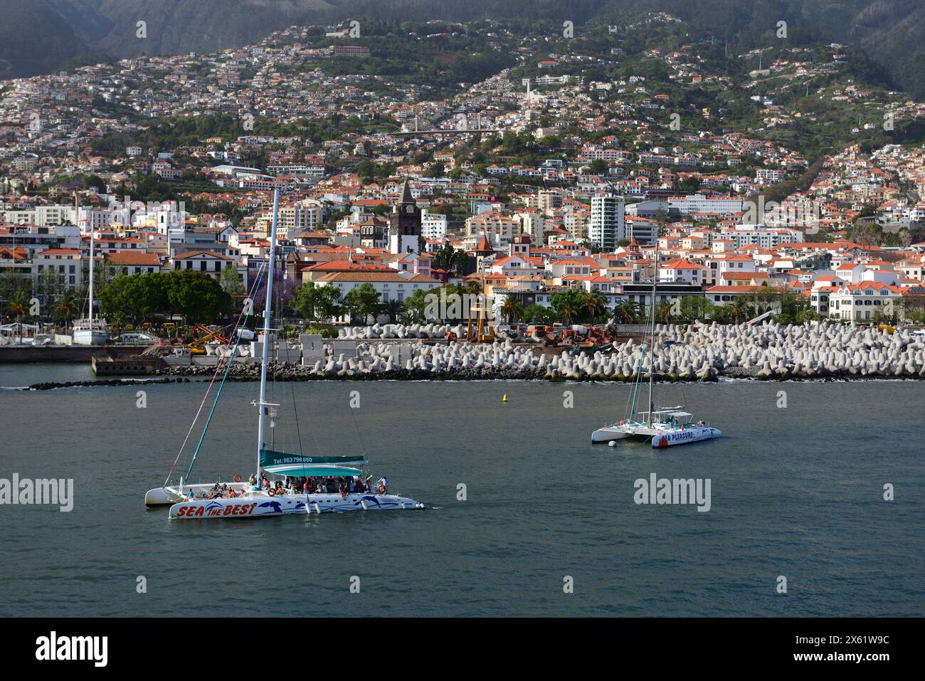 Sightseeing catamarans in the harbour at Funchal on the island of ...