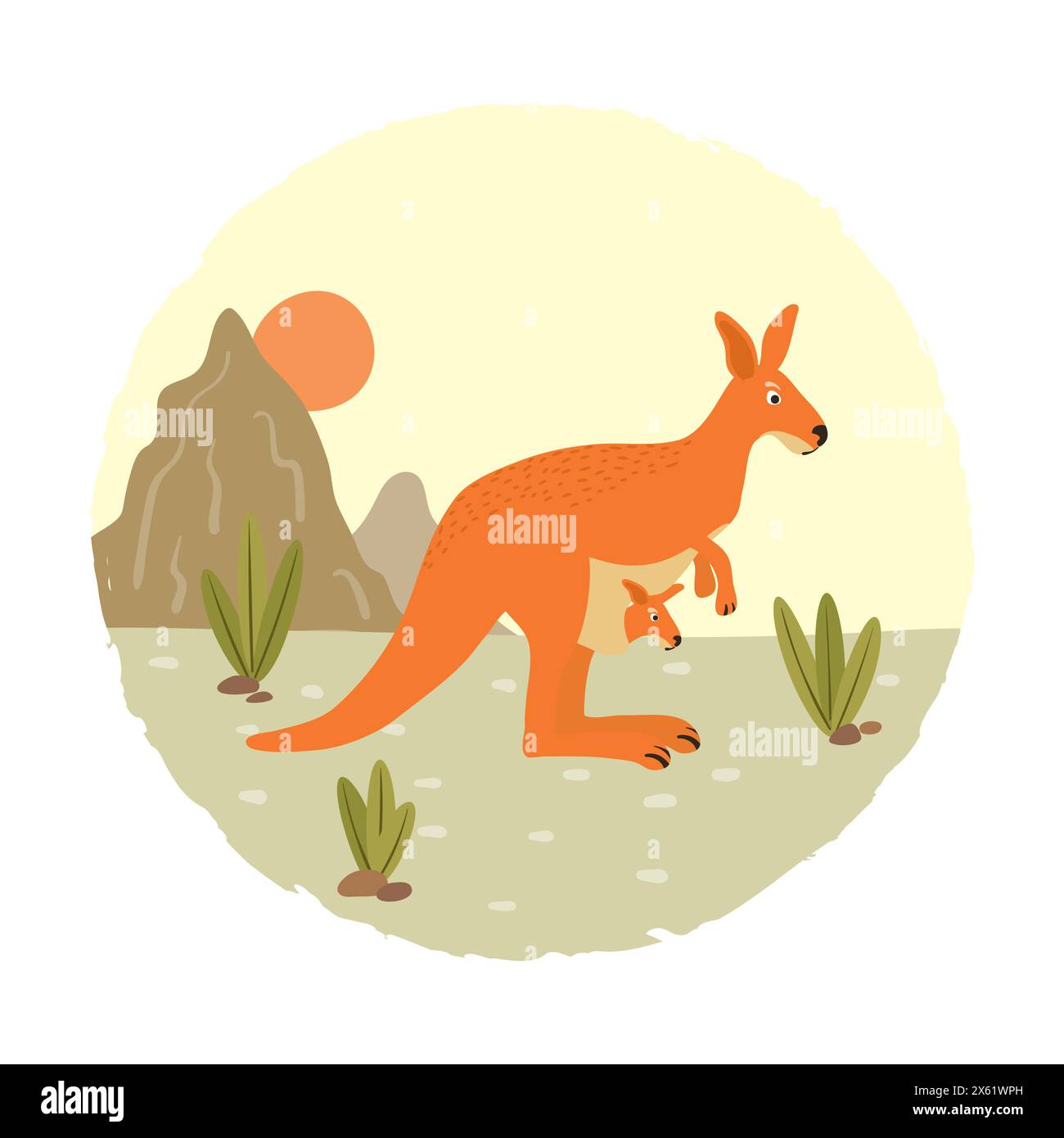 Mountain kangaroo Cut Out Stock Images & Pictures - Alamy