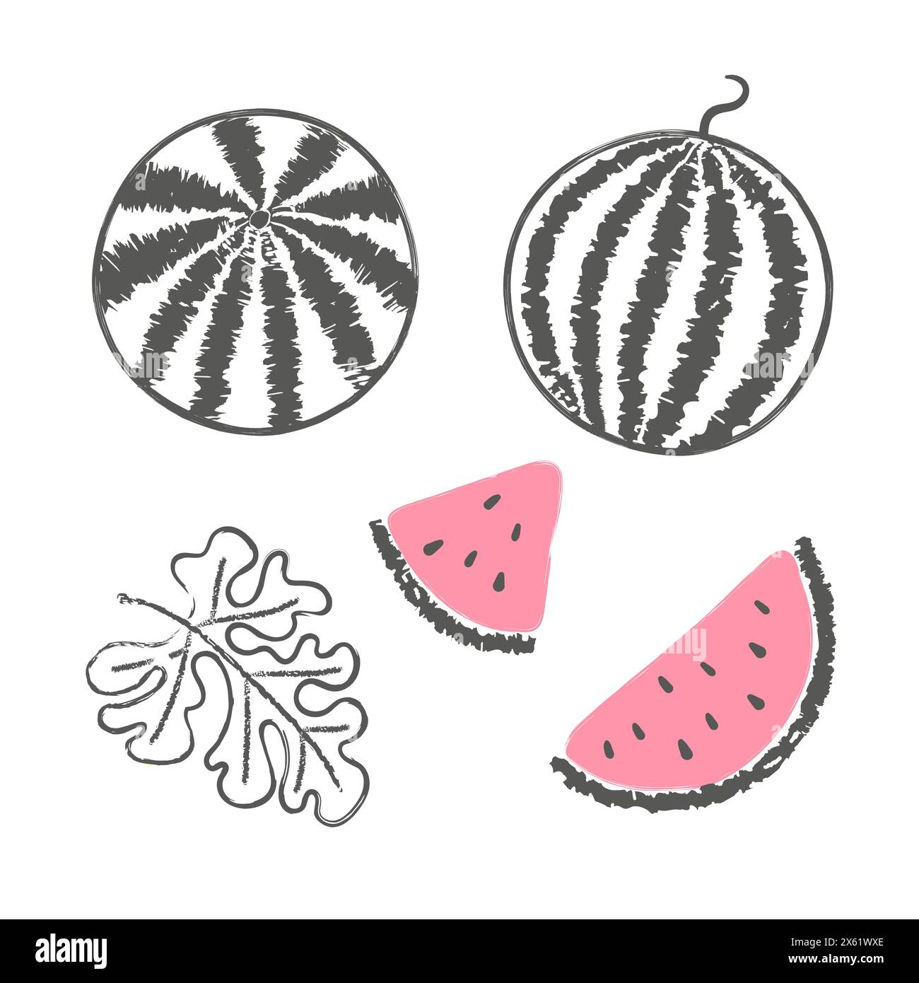 Watermelon set. Hand drawn doodle vector illustration Stock Vector ...