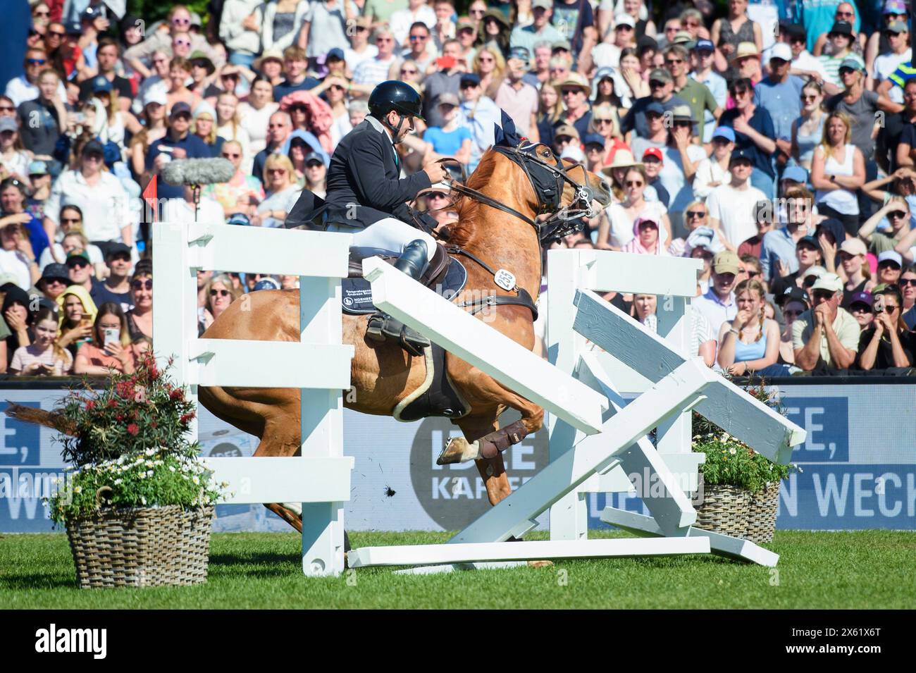 12 May 2024, Hamburg: Equestrian sport/jumping, 93rd German Show ...