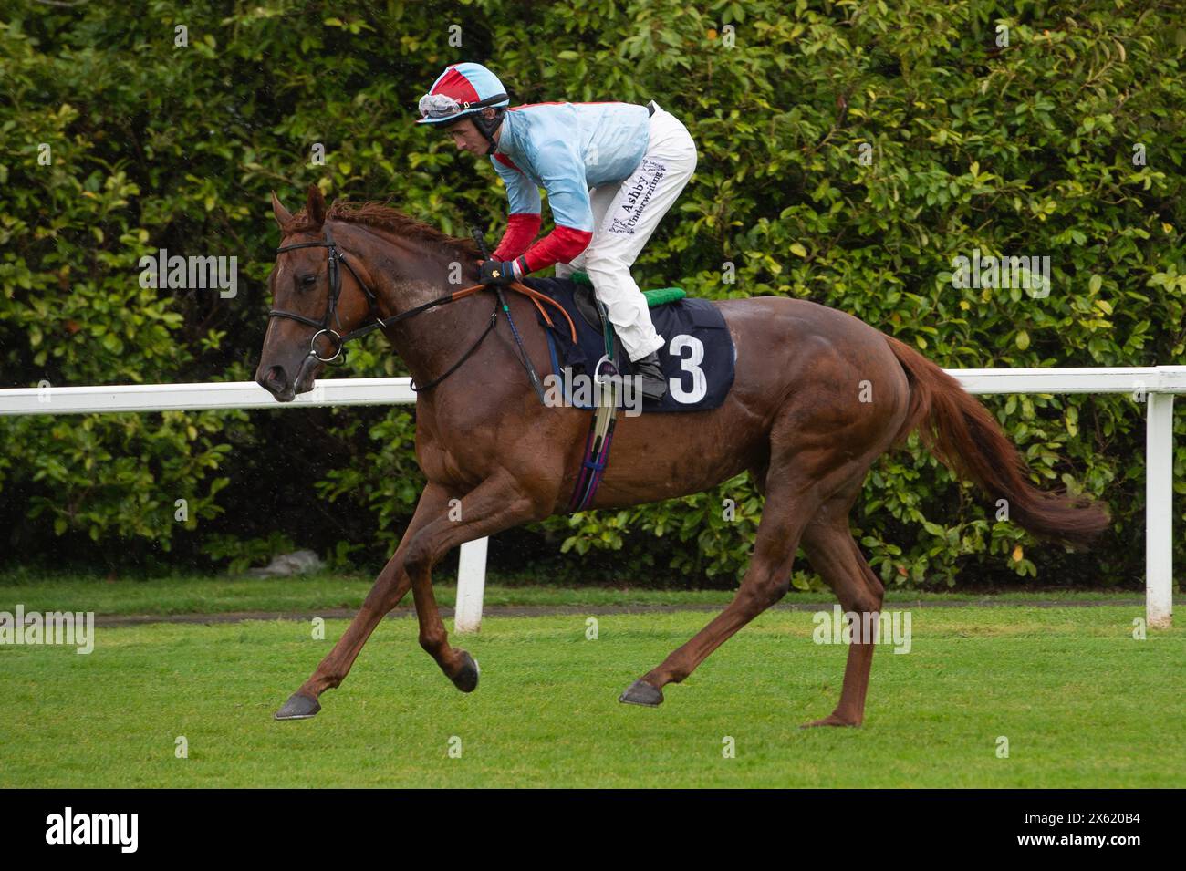 Windsor, Berkshire, UK. 6th May, 2024. Horse Free Speech ridden by ...