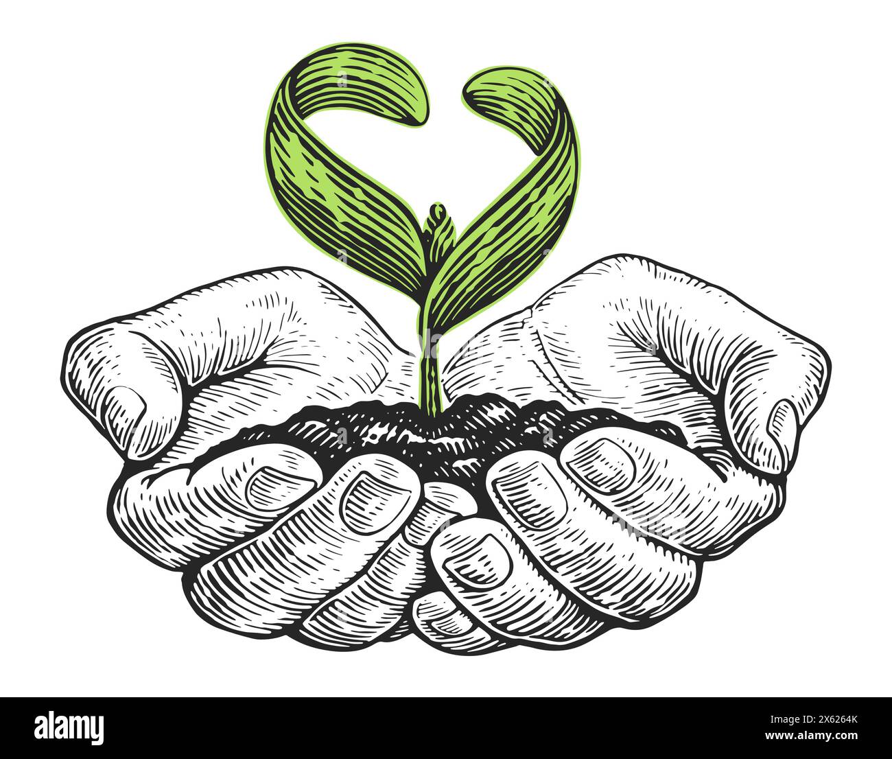 Hands plant seedlings in the soil. Earth day ecology concept ...