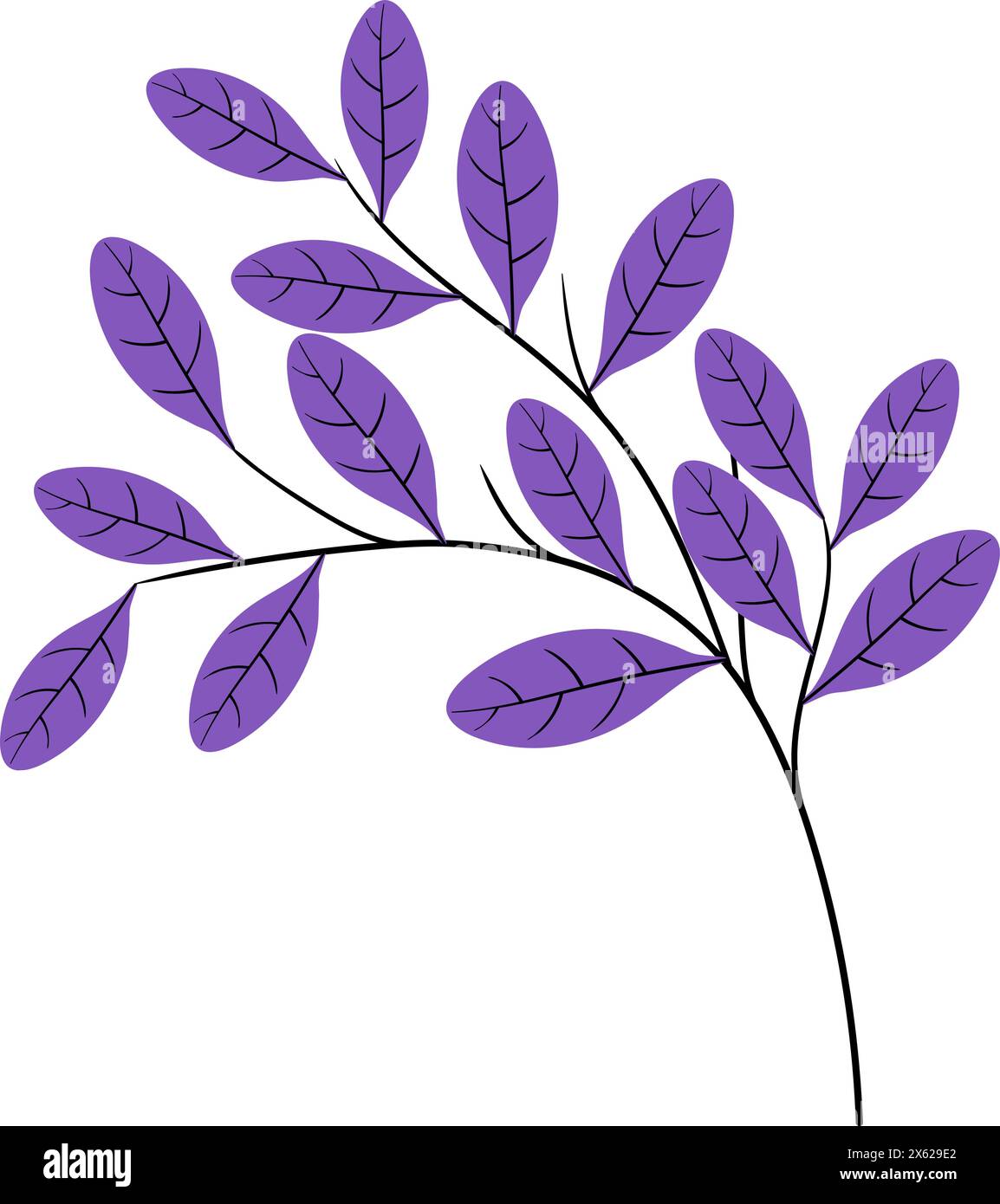flat draw illustration of a plant, a branch of a plant with dense, lush ...
