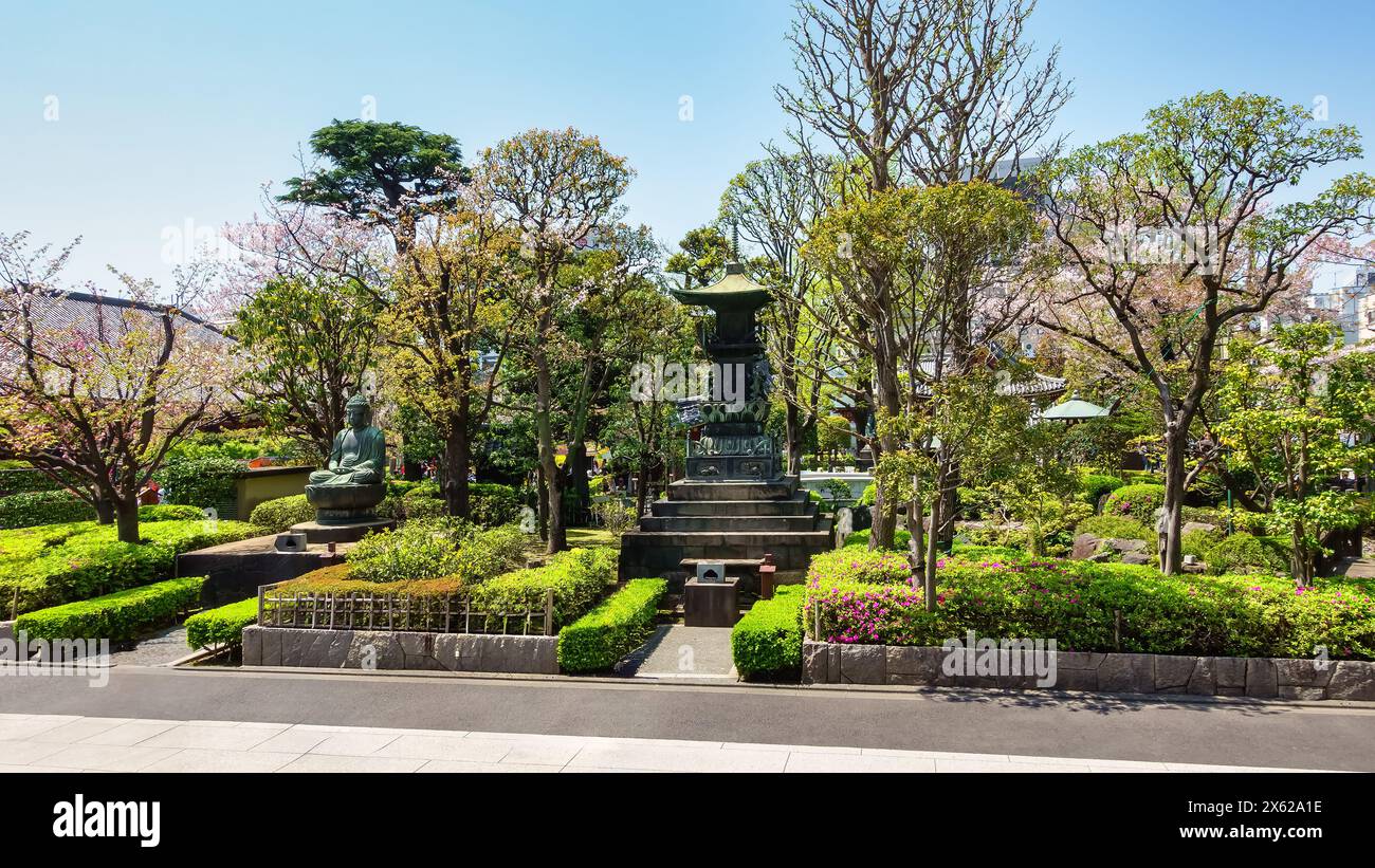 Japanese gardens with beautiful greenery and pond with carp, Asakusa ...