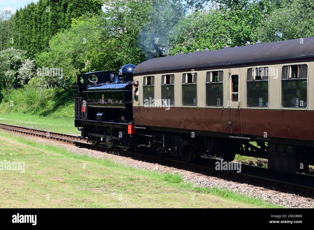 Steam train on The Bluebell Railway Stock Photo - Alamy