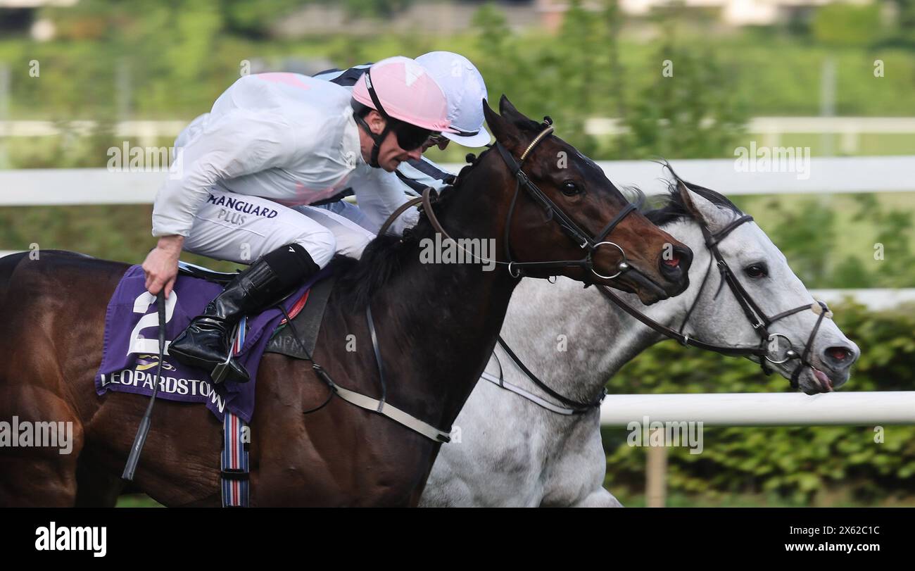 Shane Foley on Saturn (inside) wins The Leopardstown Golf And Driving ...