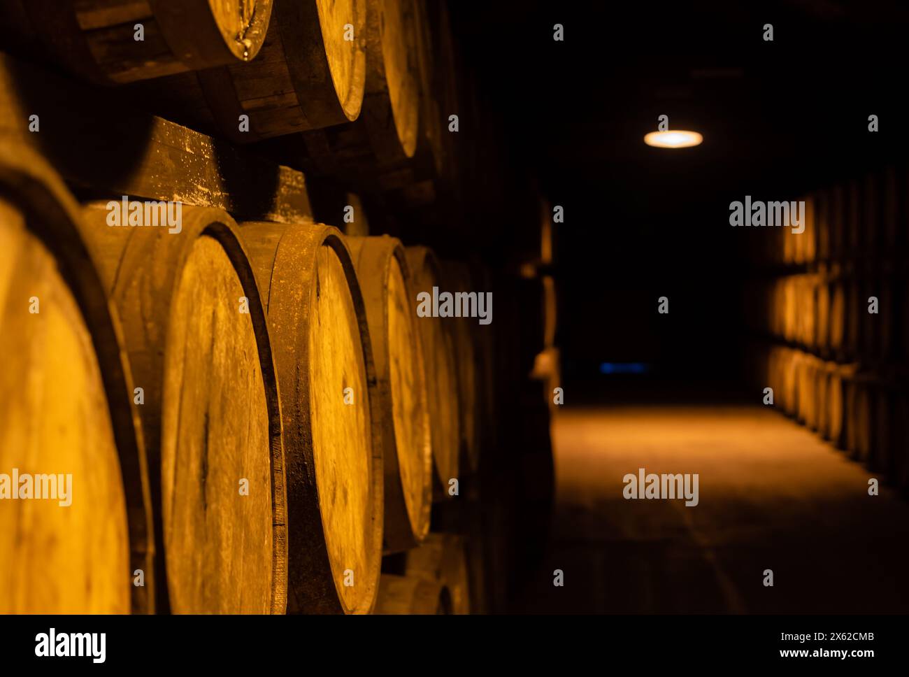 Rows of wooden wine barrels in dark underground warehouse Stock Photo ...