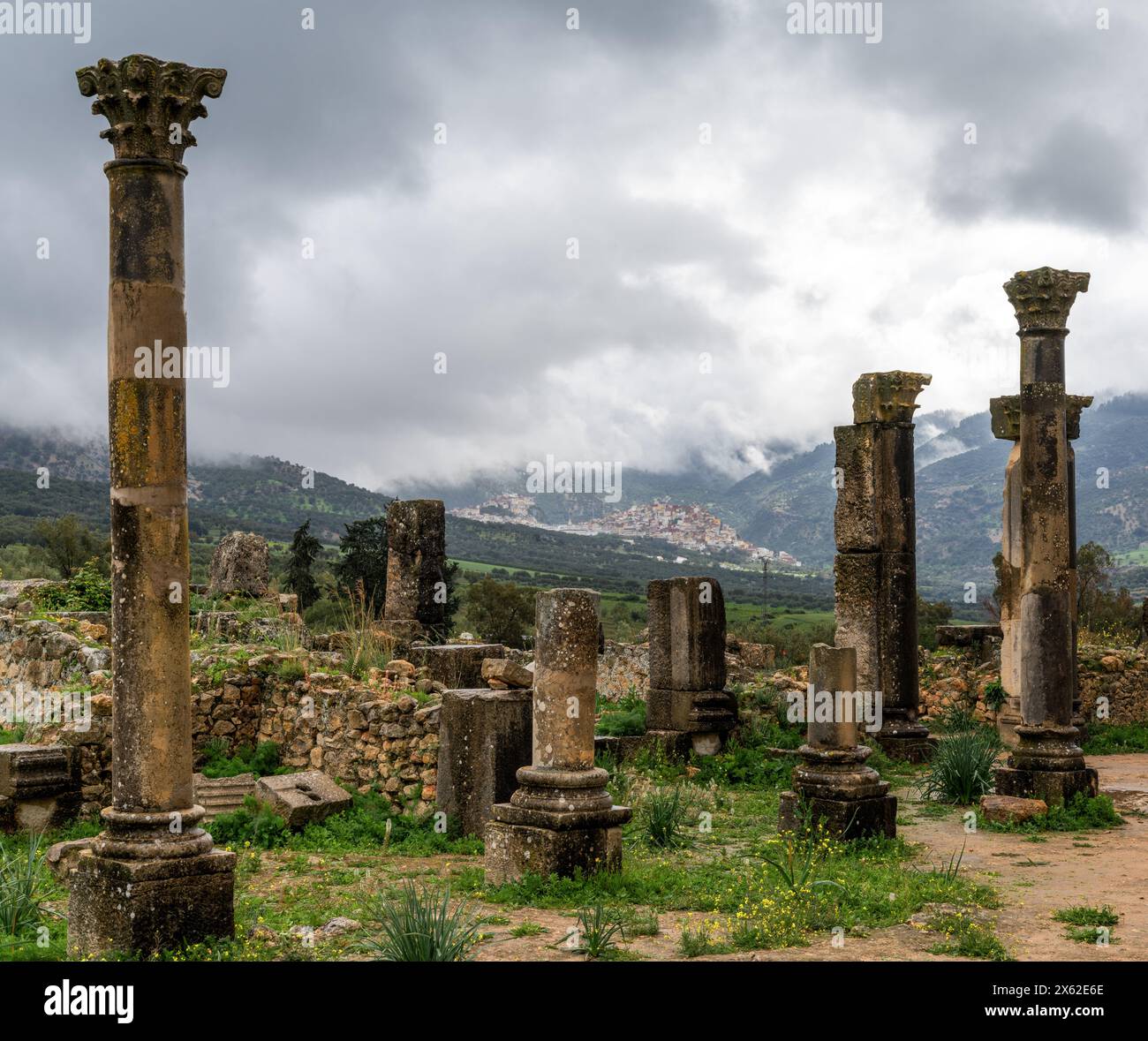 Volubilis, Morocco - 3 March, 2024: view of the Roman city ruins of ...