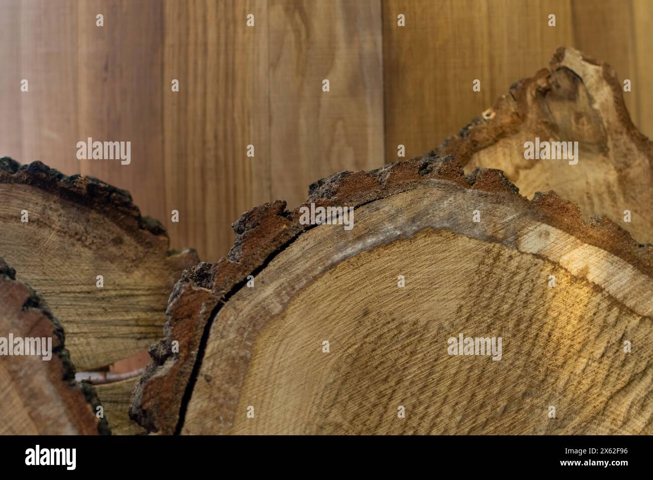 American oak wood texture hi-res stock photography and images - Alamy