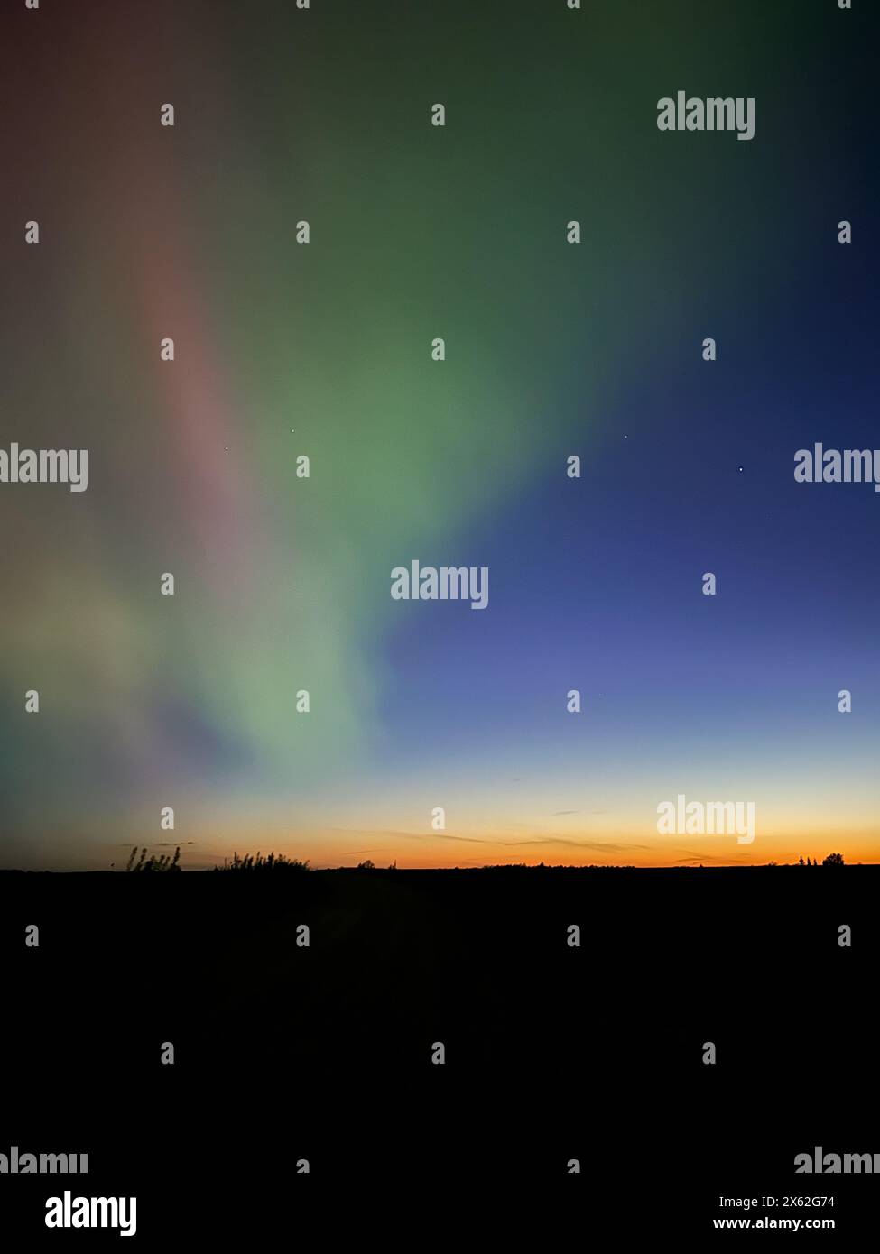Sunset over night forest hi-res stock photography and images - Alamy
