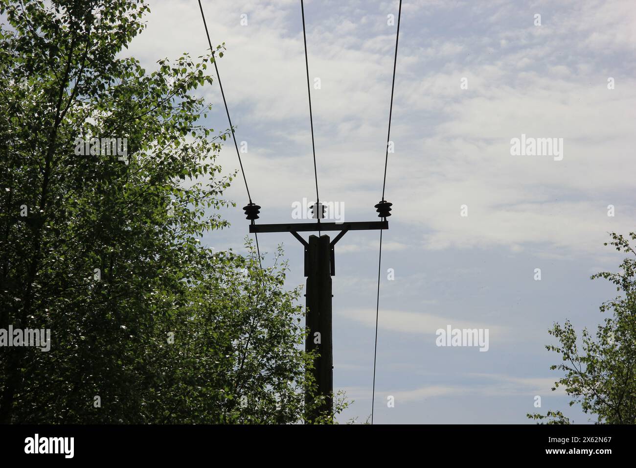 Old and Rusty Telegraph Utility Pole Surrounded by Trees in The English ...