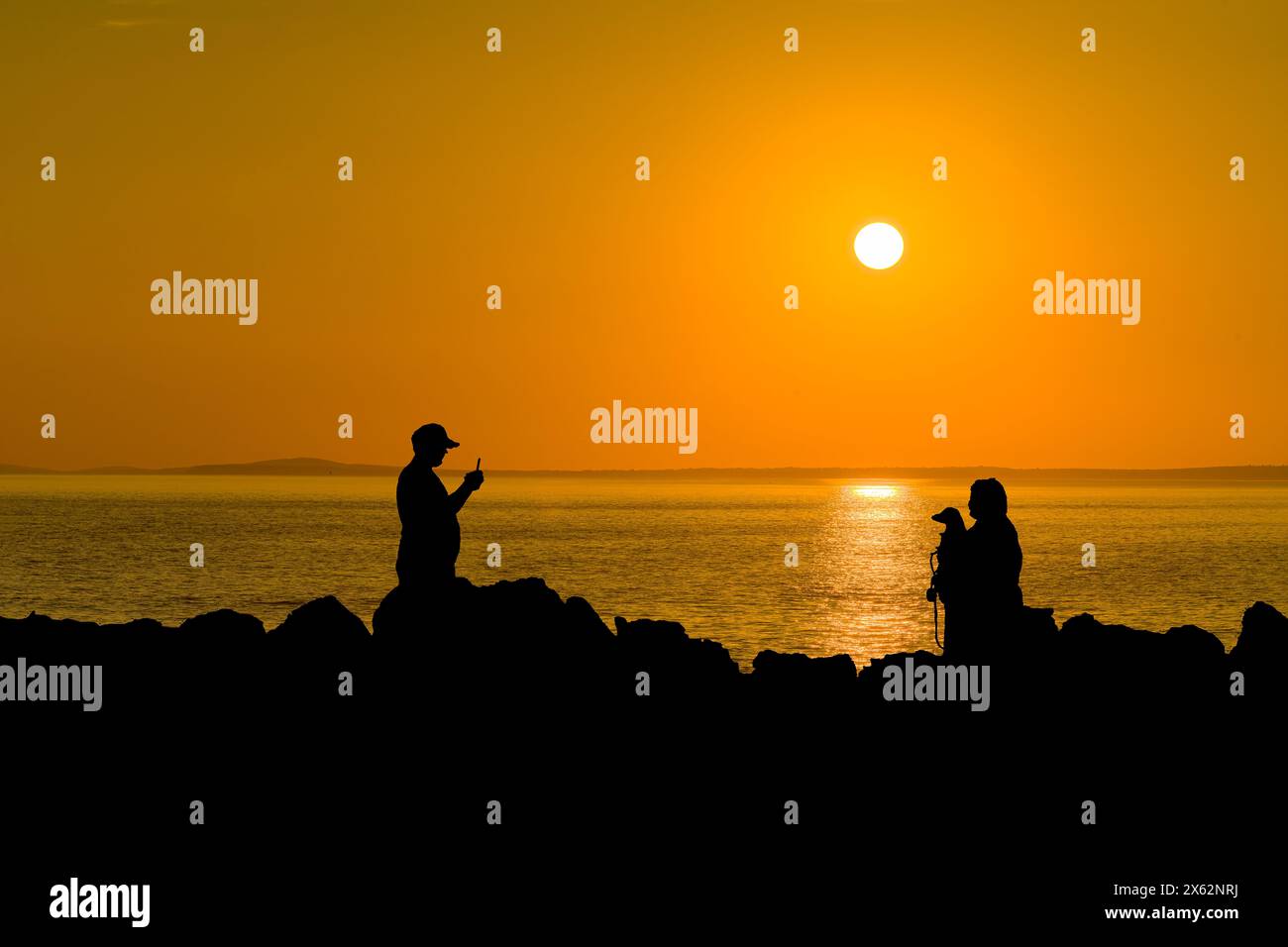 A silhouette of a man taking a photograph of his wife and their pet dog ...