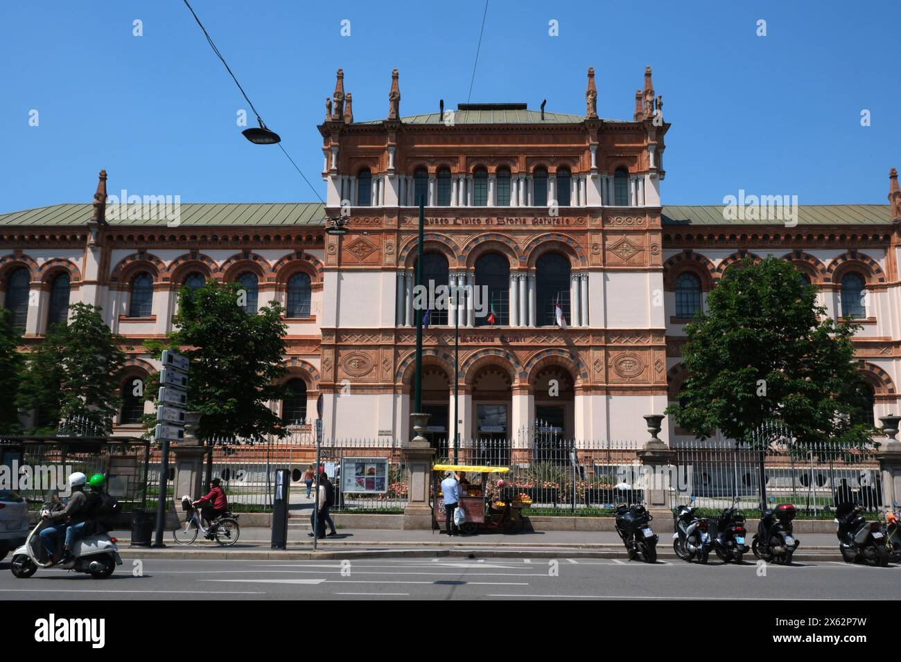 Museo Civico di Storia Naturale di Milano - Natural History Museum ...