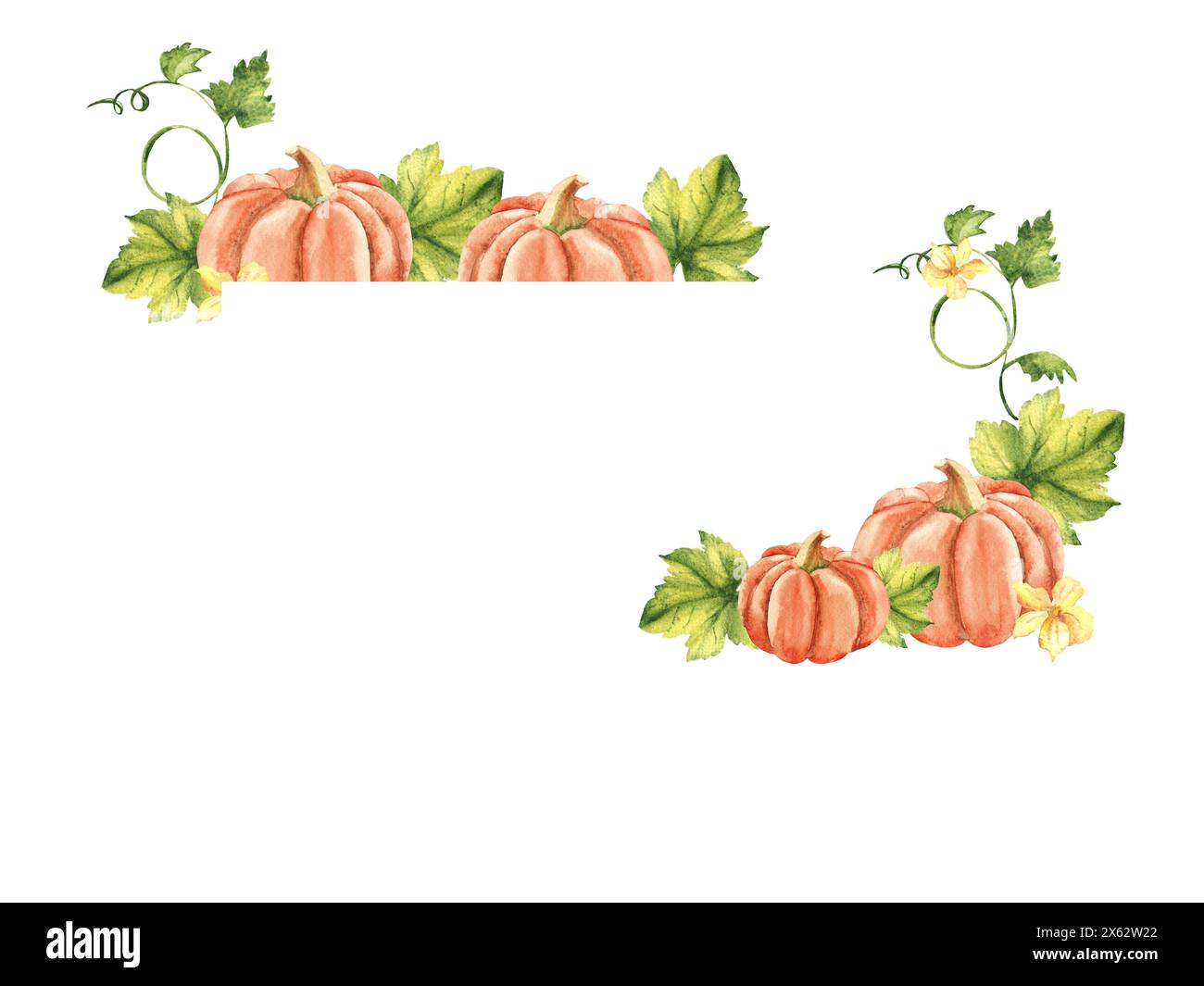 Pumpkin Horizontal Frame, Border. Watercolor Vegetable with flowers and ...