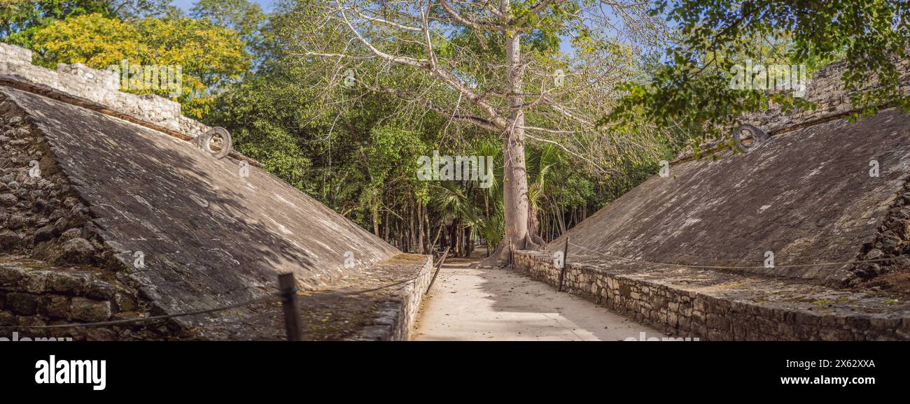 Coba, Mexico. Ancient mayan city in Mexico. Coba is an archaeological ...