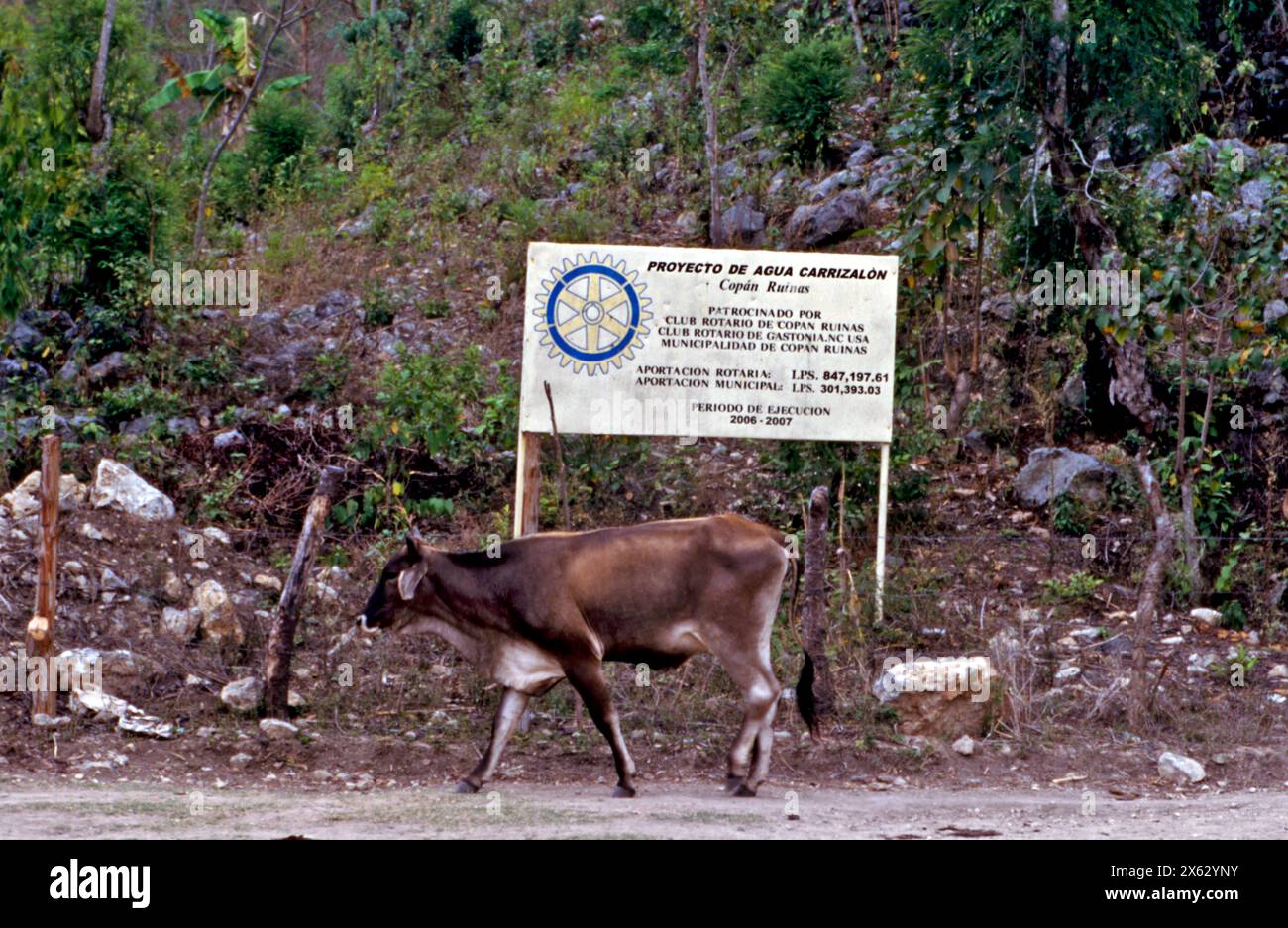 A project funded by Rotary International brings potable water to the ...