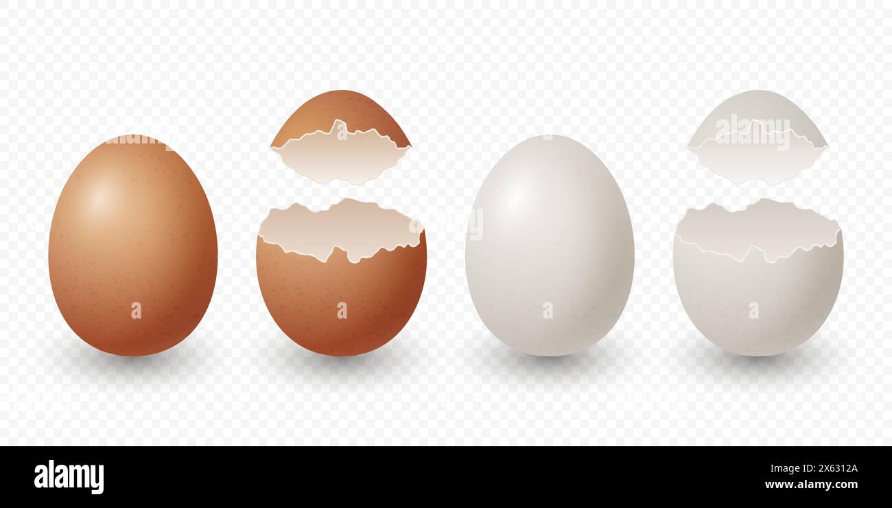Vector 3d Realistic Brown and White Chicken Eggs. Broken Chicken Egg, Cracked Two Parts, Opened ...