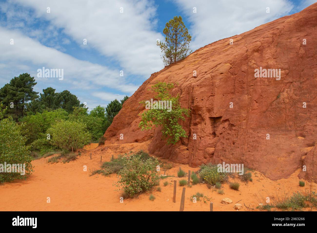 ochre cliff with tree in old quarry ochre colorado provencal in the ...